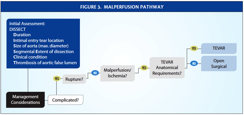 An Algorithmic Strategy for the Evaluation and Management of Type B ...